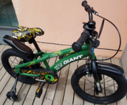 Xe đạp trẻ em Giant Darb 160 vành 16" | xedap24h.vn